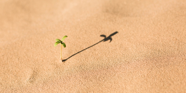 What is a sandbox and how does it work? - October Europe