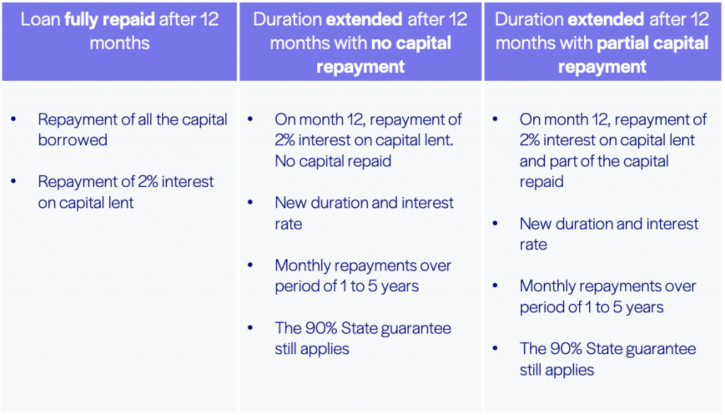 French state-guaranteed Loans : what's new? - October Europe